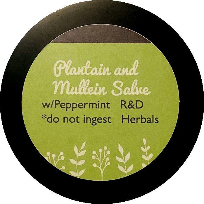 Plantain & Mullein First Aid Salve - rdherbals.com